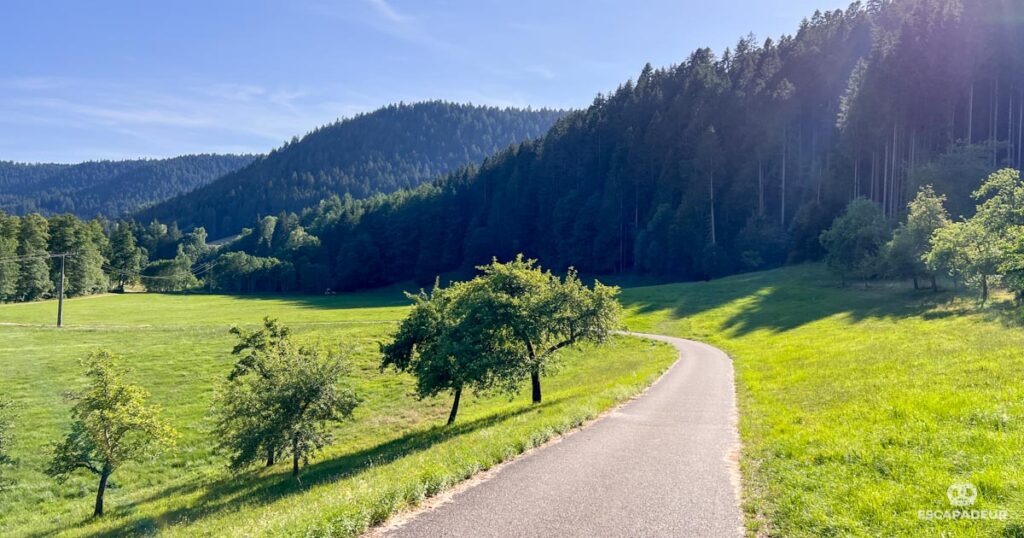 Les plus belles randonnées en Forêt-Noire