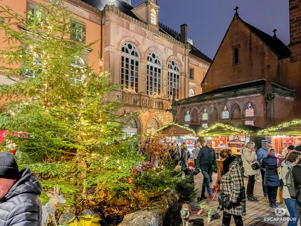 Marché de Noël d'Obernai : les infos de l'édition 2025