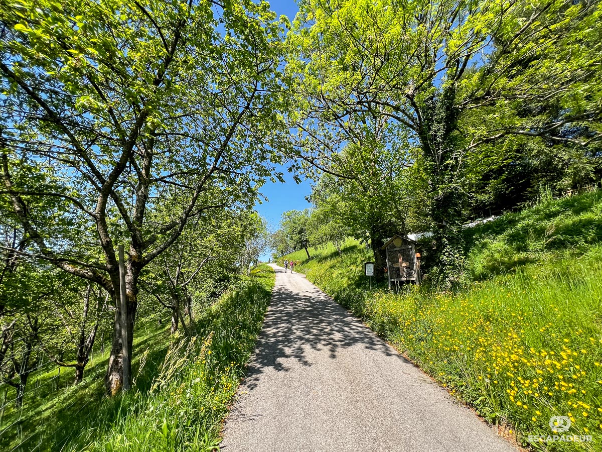 Chemin des Moulins d'Ottenhöfen, idée rando en Forêt-Noire